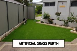 Artificial Grass | Turf Artificial Grass | Synthetic Lawns in Perth
